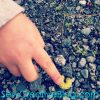 Earth Day Kids Project- Nature Walk & Found Object Art - Hello Creative ...
