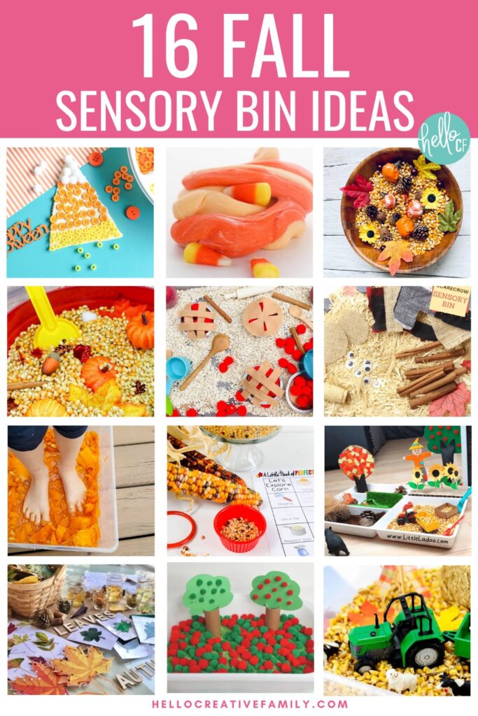 16 Fall Sensory Bin Ideas For Kids - Hello Creative Family